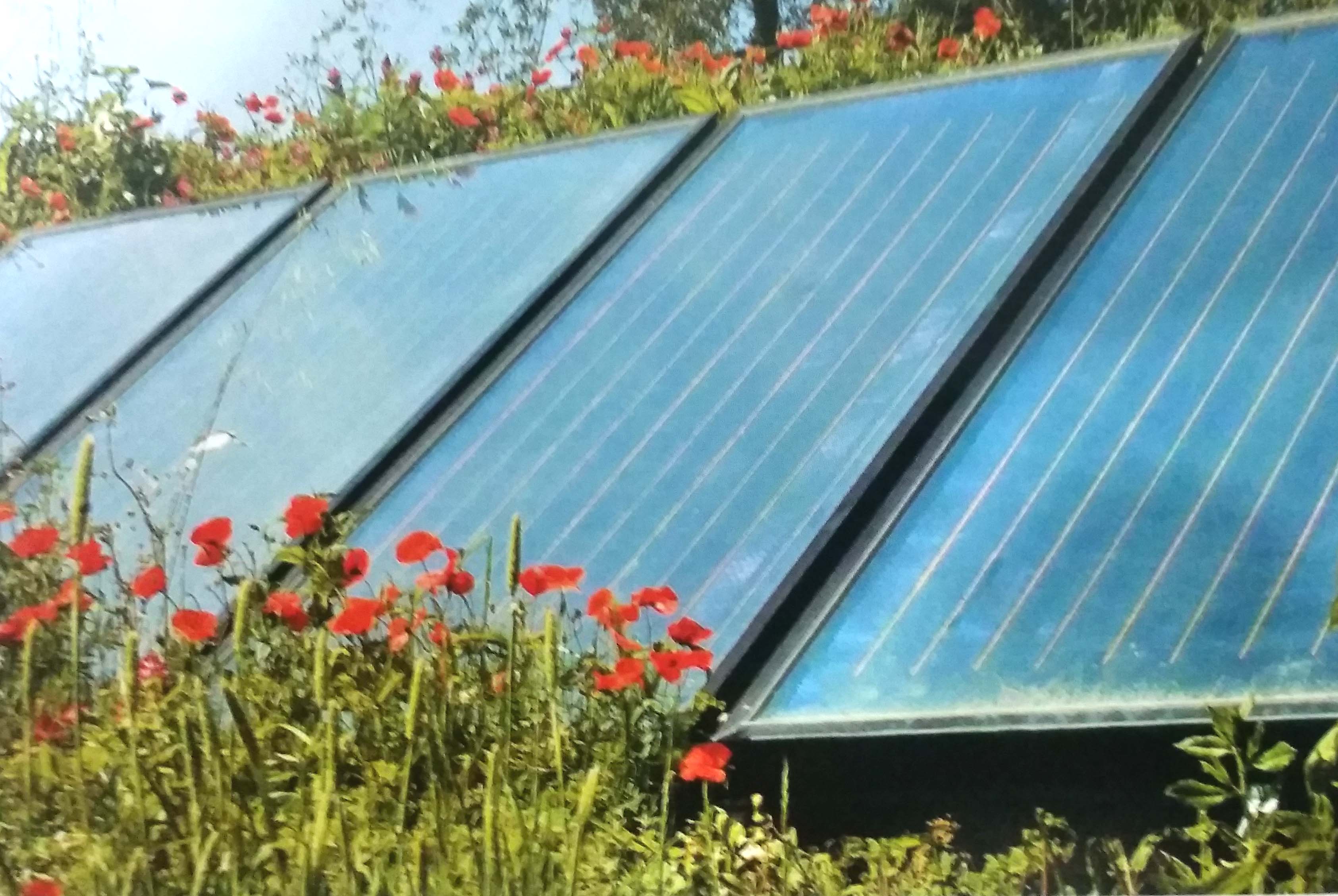 The Economics of Tapping Solar at Home – The Smart Home Decor